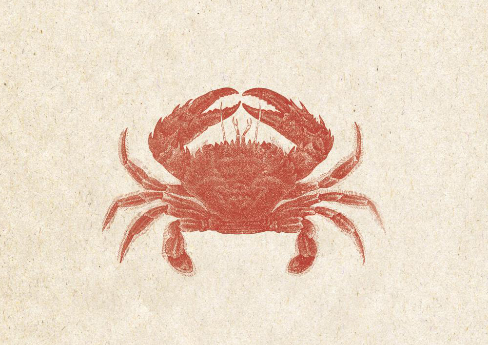 Cancer: The Emperor of All Maladies for NPR – Amanda Aronczyk