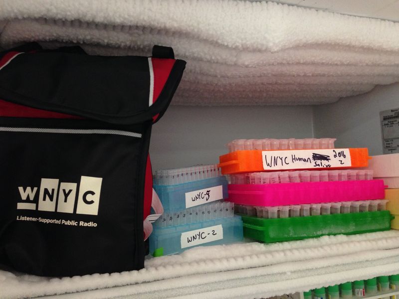 “Please Spit in This Tube: An Election Experiment” for WNYC/United ...